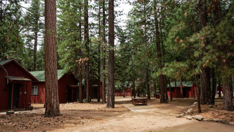 Camp Edwards | YMCA of the East Valley