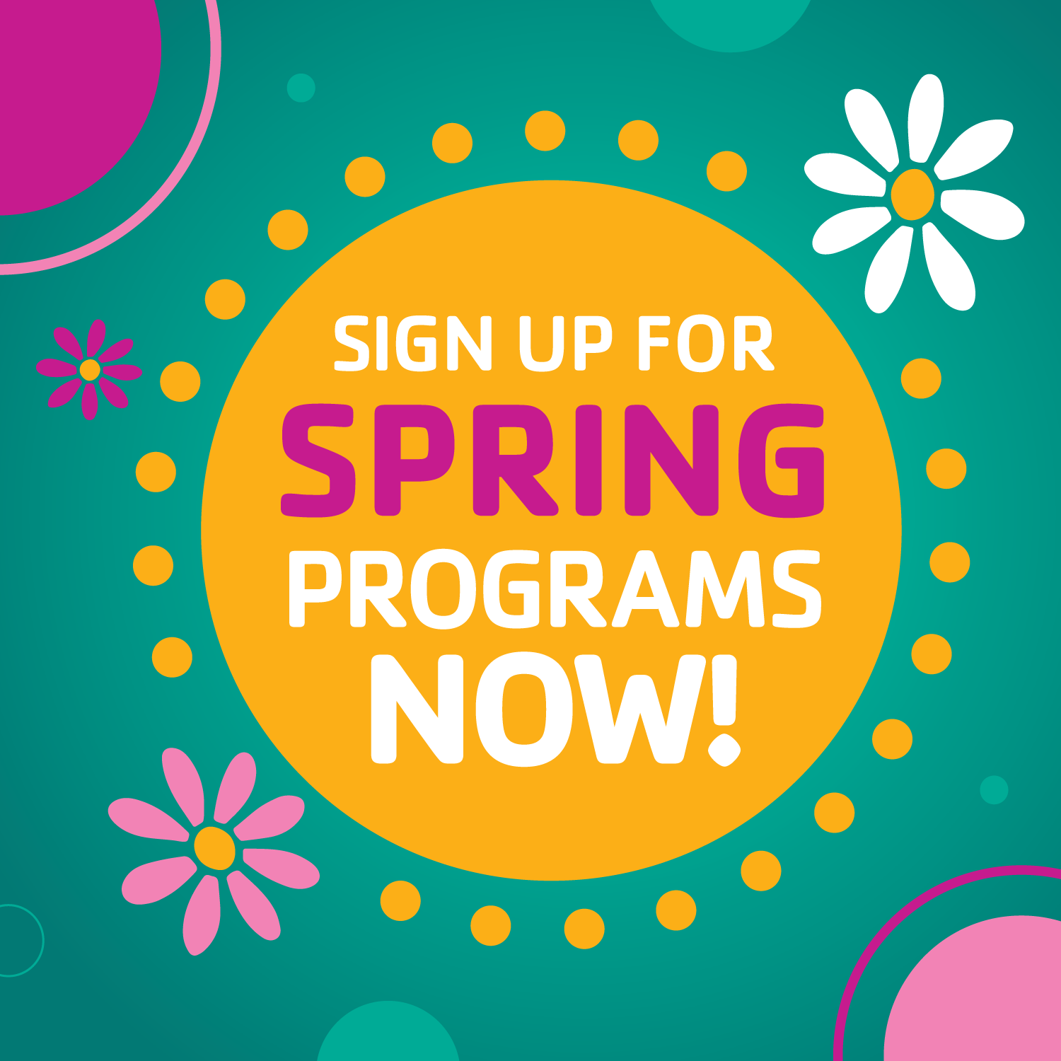 2025 Spring Programs are now available! | YMCA of the East Valley